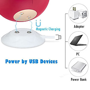 Replacement Rose Charger, 2.5ft Fast Charging Dock Magnetic USB Charger Cable Station Stand Base Cord for Rose Only - 12mm/ 0.47inch