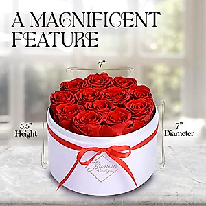 GLAMOUR BOUTIQUE Forever Flower Gift Box: 12 Real Preserved Roses in Round Velvet White Box, Handmade, Rose Petals, Birthday, Marriage,Anniversary, Graduation - Red