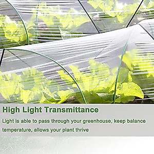 Yowlieu 6 Mil Clear Greenhouse Plastic Sheeting, 6.5' x 9.8' UV Resistant Polyethylene Greenhouse Film Hoop Green House Plastic Cover for Farms, Agriculture, Garden