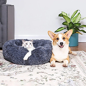 Cat Beds for Indoor Cats - Cat Bed Washable 20/24 inches, Dog Beds for Small Medium Dogs, Anti Anxiety Round Fluffy Plush Faux Fur Cat Bed, Thick Bottom (Dark Grey, Medium)