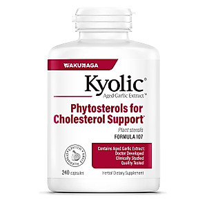 Kyolic Aged Garlic Extract Formula 107, Phytosterols for Cholesterol Support, 240 Capsules (Packaging May Vary)