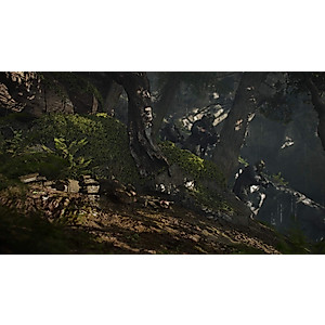 Tom Clancy's Ghost Recon Breakpoint (PS4)