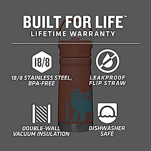 Stanley Classic IceFlow Flip Straw Tumbler for Kids (8 or Above), 20oz, Stan the Bear Stainless Steel , with Double-Wall Vacuum Insulation