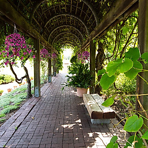 INQCMY Artificial Flowers Hanging Basket with 4 Branches Bougain Villea Silk Vine Flowers for Patio Lawn Decor,Artificial Hanging Plant in Coconut Lining Basket for Outdoor Indoor(Purple)