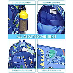 Bagseri Toddler Backpack, Dinosaur Backpack for Boys, Lightweight Kids Backpack Daycare Bag Preschool Backpack, 12 Inch (Cute Dinosaur, Blue)