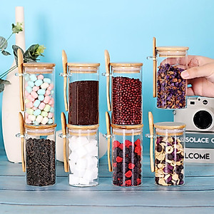 LEAVES AND TREES Y Set of 8 Glass Jars with Bamboo Lids and Spoons, 10 OZ Airtight Small Glass Tea Containers for Loose Tea, Coffee and Sugar Glass Container for Yogurt Jars with Lids