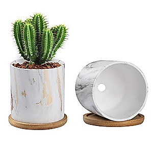 NOIRUC-CZ 6 Pack Succulent Plant Pots, 3 inch Marble Texture Mini Ceramic Planters with Drainage Hole and Bamboo Tray Small Flower Pot Modern Decor for Garden, Balcony, Office