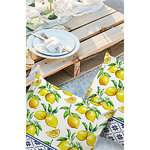 Throw Pillows for Couch Pack of 2 Waterproof Throw Pillow Covers 16x16 Inch, Outdoor Pillows Cushion Case for Bed Sofa Outdoor Furniture, Summer Lemon Texture Decorative Pillows Cover