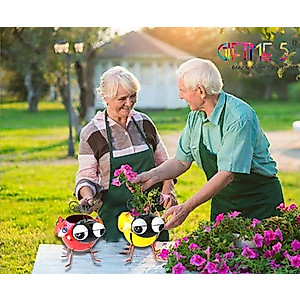 GIFTME 5 Succulent Planter,Metal Pot for Plants,Indoor or Outdoor Decorations Planter with Drainage(7.5Inch,1piece Ladybug Planter)