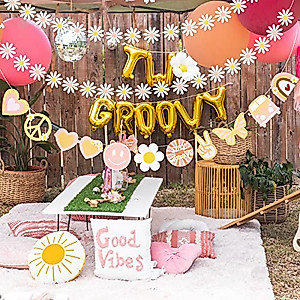 Groovy Party Decoration Garland 5Pcs, Groovy Hippie Banner Daisy Boho Tassel Garland Decor, Pre Strung Pom Pom Spring Party Supplies Hippie Party Decorations for Wall Window Home Room (Pink)