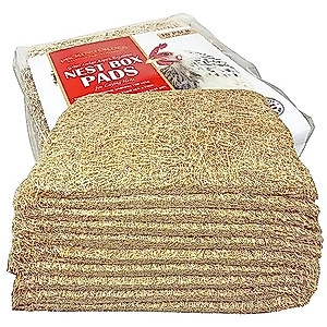 Pecking Order Nest Box Pads (10 Pack) - Made from Excelsior Wood Fibers
