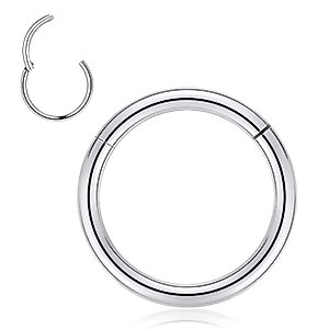 YSWUJIN 1pc Grade 23 Titanium Nose Rings 20G 18G 16G 14G Septum Jewelry Hinged Segment Ring Body Piercing Hypoallergenic Nose Hoop Lip Rings Nose Helix Cartilage Rook Earrings (16 Gauge, 6mm)