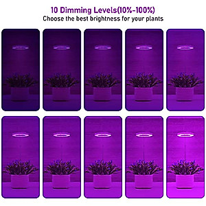 Tsothea Plant Grow Light, Full Spectrum LED Grow Lights for Indoor Plants, 3 Colors Plant Halo Light, Height Adjustable Small Grow Light with Auto On/Off Timer, 10 Dimmable Levels Growing Lamps