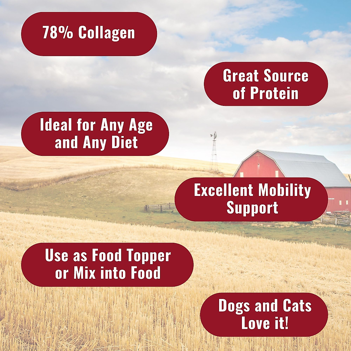 Nature's Farmacy Beef Bone Broth Powder - Excellent Source of Collagen 78 Percent - Supports Joint Function and Flexibility - Great As A Flavor Topper (6 Ounce)