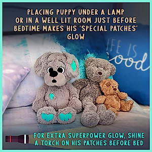 Secura Cutie Soft Stuffed Animal Puppy with Superpowers – Glow in Dark Patches for Bedtime Comfort (no batteries needed) – Stuffed Animal for Boys & Girls - Cute Plush Dog Teddy Bear Toy – 14"