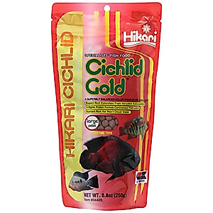 Hikari 8.8-Ounce Cichlid Gold Floating Pellets for Pets, Large