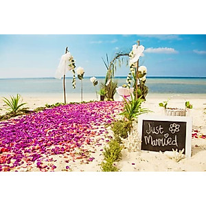 Sunne Tropical OrchidClub USA Loose Bloom Fresh Orchid Flower Head DIY Lei, food & drink decoration (100 PURPLE)