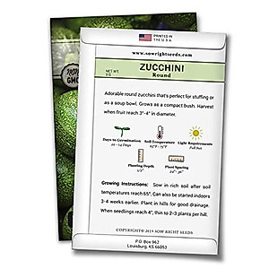 Sow Right Seeds - Zucchini Squash Seed Collection for Planting - Black Beauty, Cocozelle, Grey, Round, and Golden - Non-GMO Heirloom Packet to Plant a Home Vegetable Garden - Productive Summer Squash