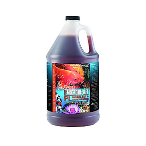 MICROBE-LIFT PL Pond Bacteria and Outdoor Water Garden Cleaner, Safe for Live Koi Fish, Plant Life, and Decor, 1 Gallon