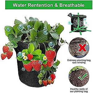 EBOCACB 3 pcs Hanging Planter Bag with Handles, Plastic Hanging Strawberry Planting Containers Strawberry Grow Bags Foldable Durable Growing Bags Grow Planter for Growing Vegetables Flowers Herb Plant