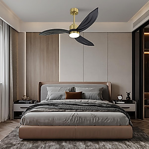 ELEHINSER 64" Wood Ceiling Fan with Lights and Remote Control, 3 Blades 6-Speed Reversible DC Motor Ceiling fan for Kitchen Bedroom Dining Living Room, Black Wood Blades with Gold