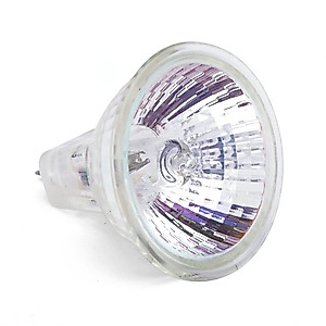 lumenivo MR11 12V 10W Halogen Bulb Fiber Optic Replacement Light Bulb with G4 2-pin Base - 12 Degree Landscape Lighting Narrow Spot Indoor Flood Light Bulbs MR11 12 Volt 10 Watt - 2 Pack