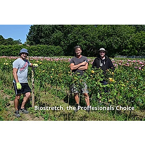 Biostretch Soft Plant Ties for House and Garden Plants - Environmentally Friendly Stretchy Green Plant Tape and Garden Twine Plant String 2 Pack (Green Bio Roll x 2)