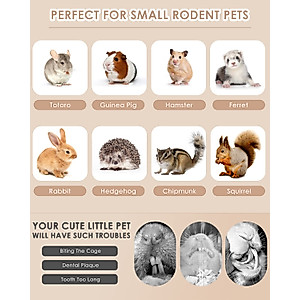 Bissap Bunny Chew Toys, Natural Seagrass Hanging Basket Chews Water Plant Woven Chinchillas Chewing Treats for Rabbits Guinea Pigs Chinchillas Hamsters Rats and Other Small Pets Teeth Grinding Toy