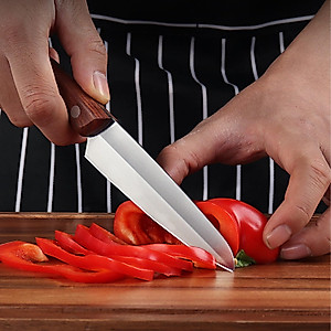 AYANICA Kitchen Knife 4.5 inch Lightweight High Carbon Stainless Steel Sharp Blade Wooden Ergonomic Handle Paring Peeling Fruit Slicing
