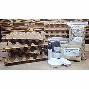 G&T Country Living Dubia Roach Colony Starter Kit with a Pound of Feeder Insect Chow for Earthworms, Hissing Cockroaches, Breeding Insects, Gut Loading, for Reptiles