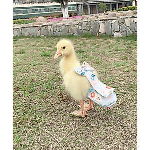 WCDJOMOP Duck Diapers, Chicken Diapers, Handmade Diapers for Poultry, Chicken, Duck and Goose Waterproof, Adjustable, Washable Reusable Diapers for Poultry, Duck Supplies (S(0.1kg-0.2kg),Floral)