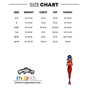 Miraculous Ladybug Little Girls Tulle Dress Black/Red 6