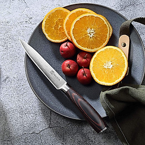 PAUDIN Cleaver Knife + Utility Knife