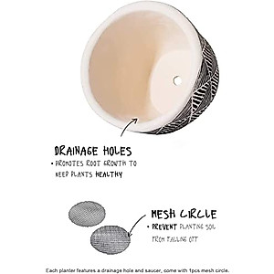 LE TAUCI Cement Planters Pots for Indoor Plants, 5.5 Inch Boho Plant Pots with Drainage Holes & Saucers, Decorative Succulent Pots Indoor, Bonsai Pots, Unglazed, Set of 2