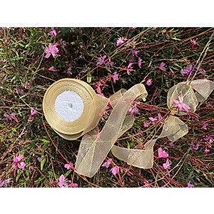 BEAUTOPE 1 Inch 50 Yards Sheer Organza Ribbon Chiffon Ribbon for Gift Wrapping Wedding Bouquet Crafts (Gold)