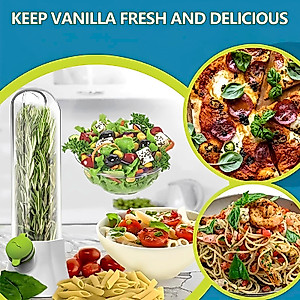 Adealed Herb Saver Storage Container Fresh Herb Keeper for Refrigerator Preservation Bottle for Parsley, Cilantro, Mint, and Vegetables- Kitchen Gadgets (1)