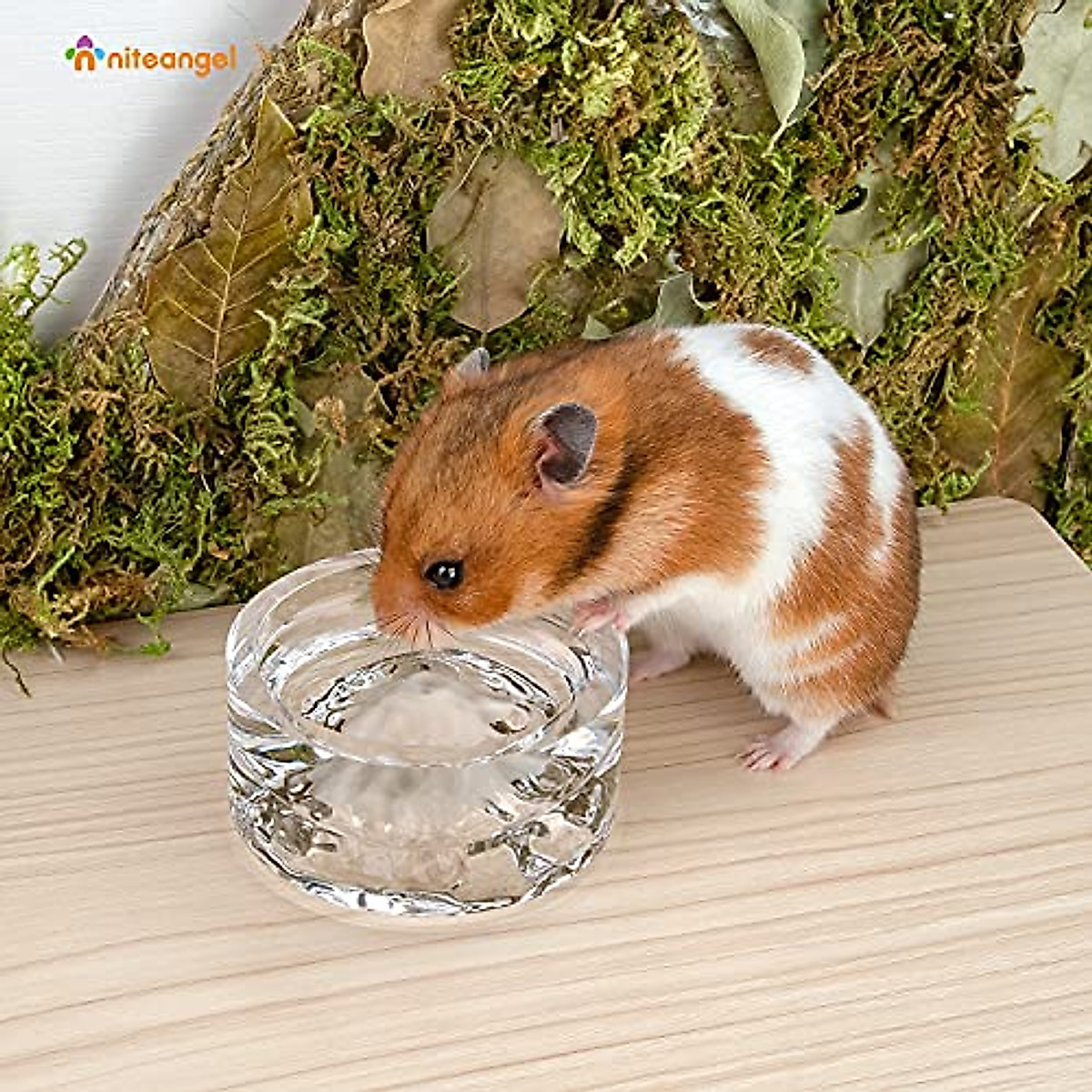 Niteangel Hamster Feeding & Water Bowls- Mount Fuji Series Glass Drinking Bowls for Dwarf Syrian Hamsters Gerbils Mice Rats or Other Similar-Sized Small Pets