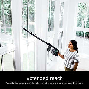 Shark IZ631H Cordless Pro Vacuum with PowerFins and Self-Cleaning Brushroll, Includes Upholstery Tool & Crevice Tool, Up To 60 Minute Runtime, HEPA Filtration, Cordless Vacuum, Dark Grey/Mojito