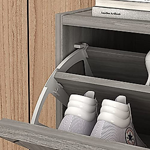 AGOTENI Shoe Cabinet with 2 Flip Drawers, Shoe Storage Organizer with 2-Tier Shelf for Entryway, Freestanding Shoe Rack Storage Organizer, Grey
