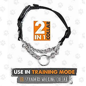 Martingale Collar, Training Dog Collar, Limited Cinch Chain Pet Gear for No Pull Dog Walking