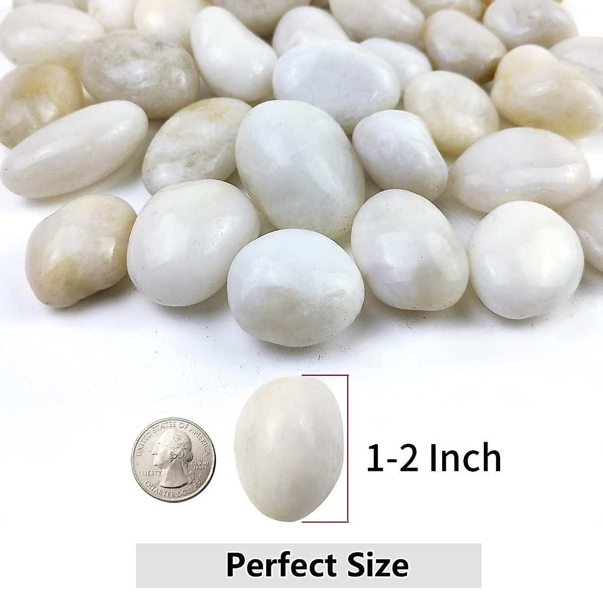 YISZM 2lbs White River Rocks, 1-2 Inch Natural Pebbles for Indoor Plants, High Polished Decorative Stones Vase Filler Fish Tank Aquariums Landscaping Garden Outdoor and Indoor DIY