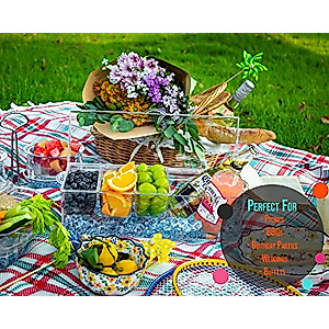 gesPINK Condiment Trays, Condiment Servers, Set of 2 Garnish Trays with Lid for Bar, Bar Fruit Caddies with Lid, Bar Condiment Trays with Lid, Condiment Servers for Parties, Chilled Serving, Utensils