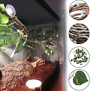 Tfwadmx Reptiles Skull Hide Decorations Bearded Dragon Tank Accessories Terrarium Ornament Gecko Hideouts Cave Snake Habitat Jungle Climber Bendable Vines Leaves for Lizards,Chameleon,Spider (4 Pcs)