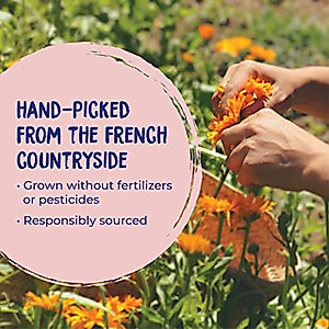 Boiron Calendula Gel for Relief from Rashes, Razor Burn, Insect Bites, or Sunburns - Non-Greasy and Fragrance-Free - 1.5 oz