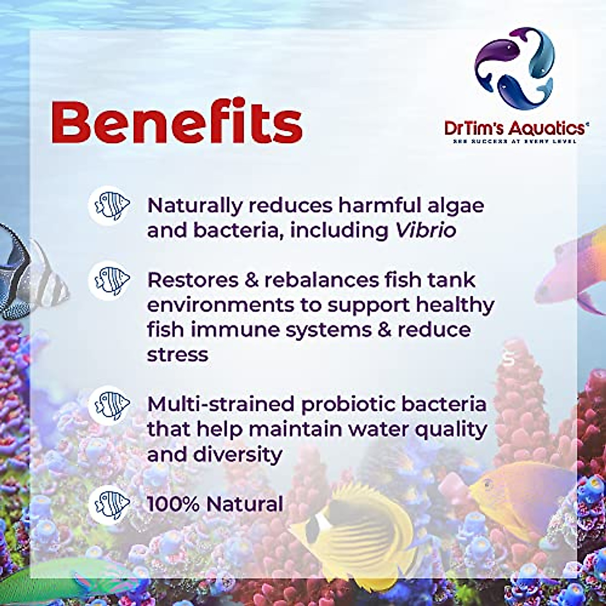 DrTim’s Aquatics Eco-Balance for Saltwater Aquariums – Multi-Strained, Supportive Probiotic Bacteria to Maintain a Balanced Fish Tank Environment-4 oz.