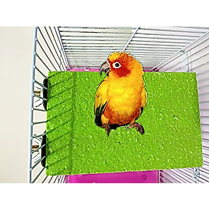 Hypeety Colorful Bird Perch Stand Platform for Parrot Macaw African Greys Budgies Parakeet Cockatiels Natural Wood Paw Grinding Clean Cage Toy (Random Color)(B)