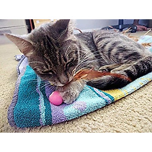 Bouncy Tails 5 Pack Interactive Bouncy Ball with Natural Feathers for Indoor Cats and Kittens who Love to Play and Have Fun.