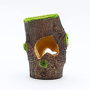 Penn-Plax Aqua-Flora Aquarium Living Resin Decoration with Embedded Glosso Plant Seeds – Tree Base – Safe and Healthy for Freshwater Fish