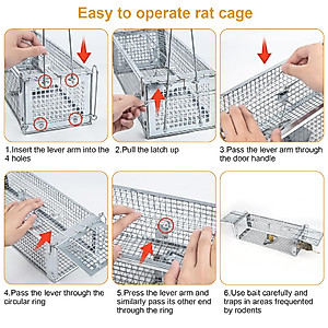 Humane Rat Trap, Large 2-Door Mouse Traps That Work for Indoor Home and Outdoor, Small Rodent Chipmunk Squirrel Trap and Other Live Animal Cage Catch and Release