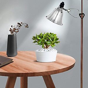 EP Clamp Lamp Light with Detachable 5.5 Inch Aluminum Reflector, 60 Watt E26 Socket (No Bulb Included), 6 Foot 18/2 SPT-2 Cord Cord, 2 Pack